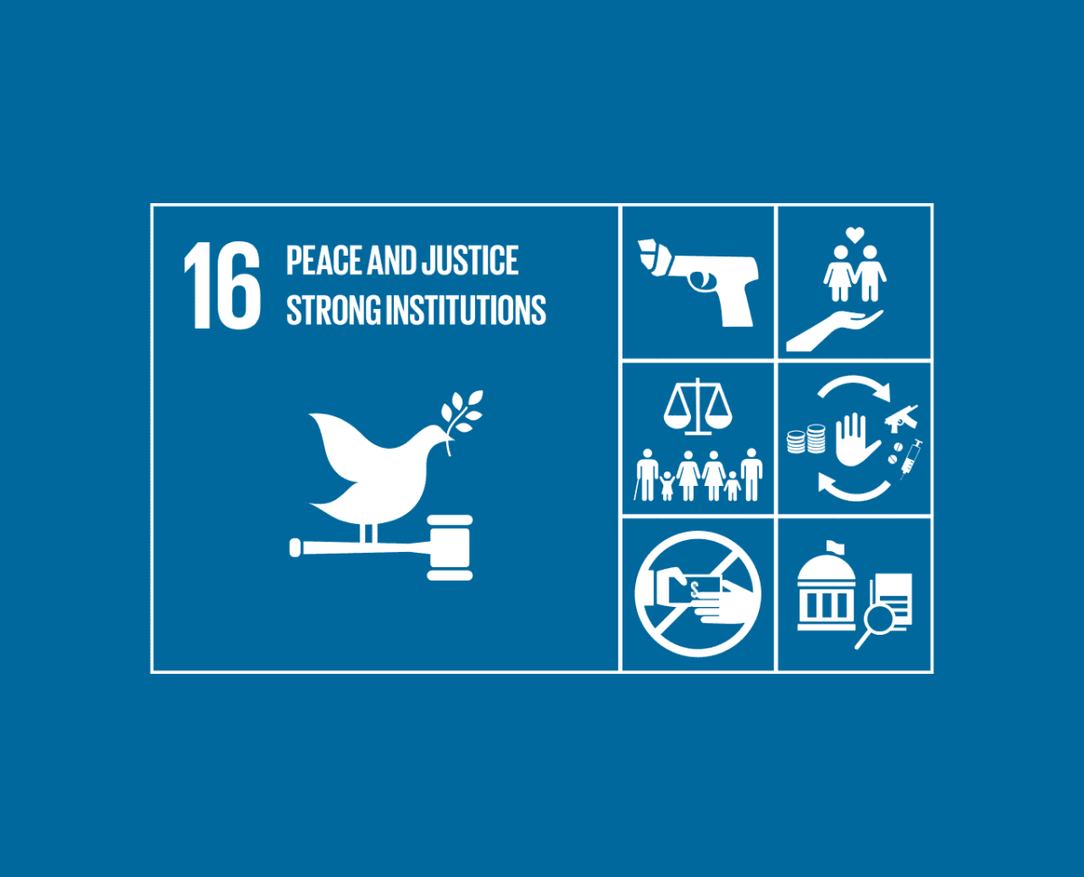 SDG 16 is not good enough – Transform defence for sustainable human safety